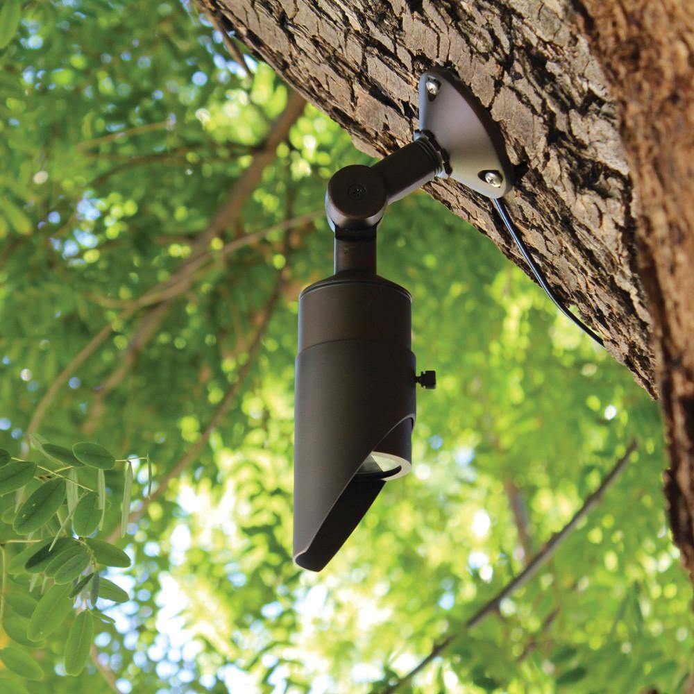 Directional Down Lights – SPJ Lighting Inc.