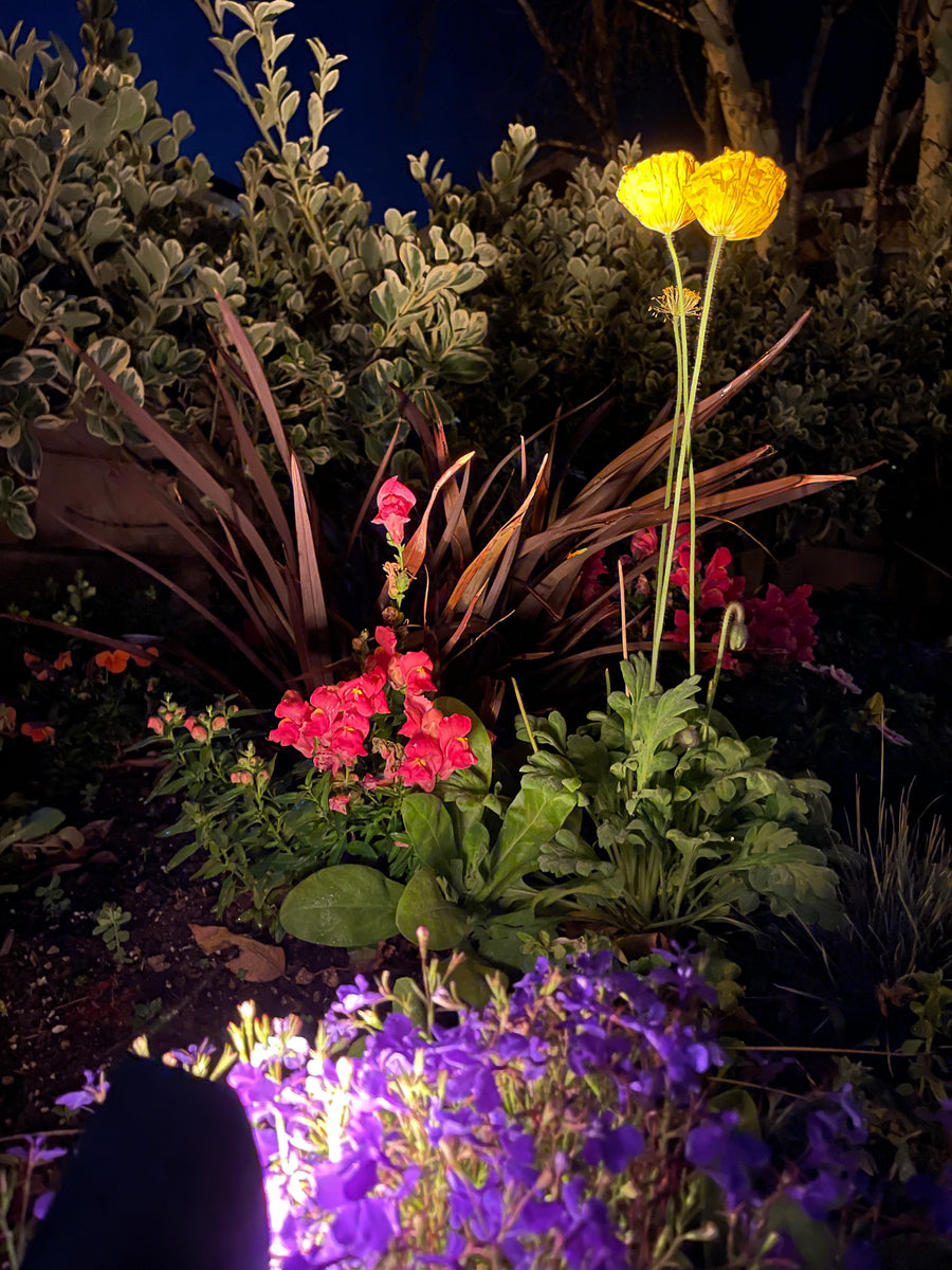 SPJ-MWW2 | SPJ Lighting – SPJ Lighting Inc.